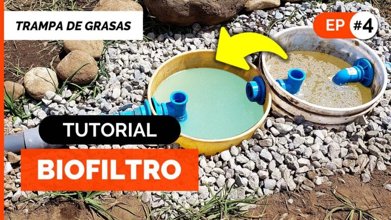 Cómo purificar el agua residual en casa de forma eficiente - Tratamos ...