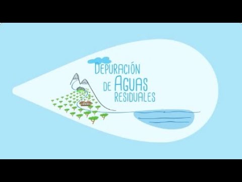 La depuración del agua: ¿qué es y cómo funciona? - Tratamos el Agua