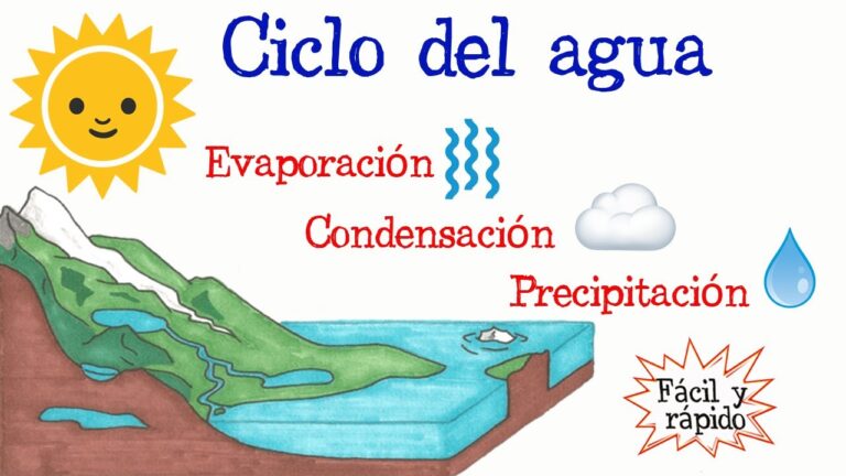 Explora las etapas del ciclo del agua de forma sencilla - Tratamos el Agua