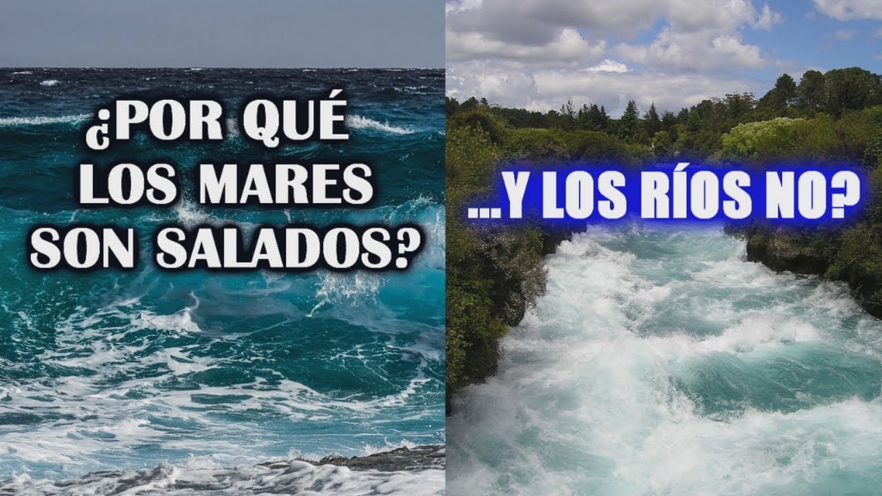 Mar Caspio: ¿agua dulce o agua salada? Todo lo que debes saber sobre ...