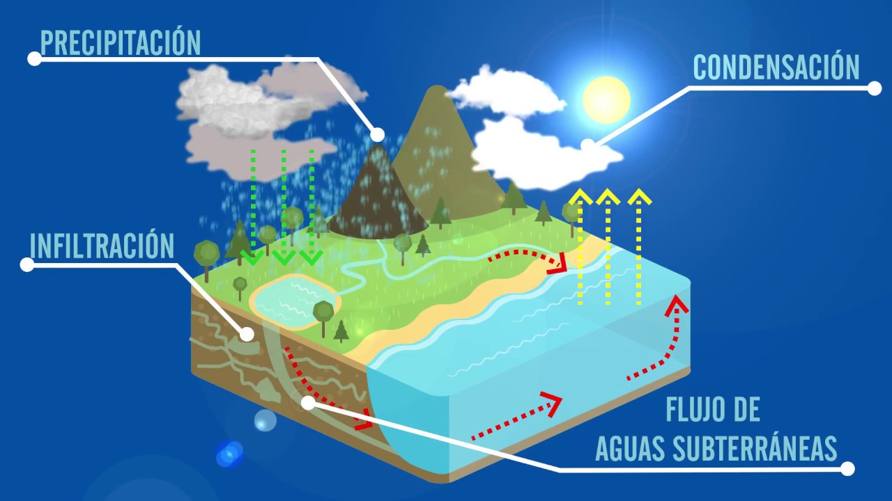 ¿De dónde proviene el agua que usamos en casa? - Tratamos el Agua