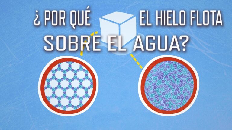 ¿Qué relación hay entre el hielo y el agua? ¡Descúbrelo! - Tratamos el Agua