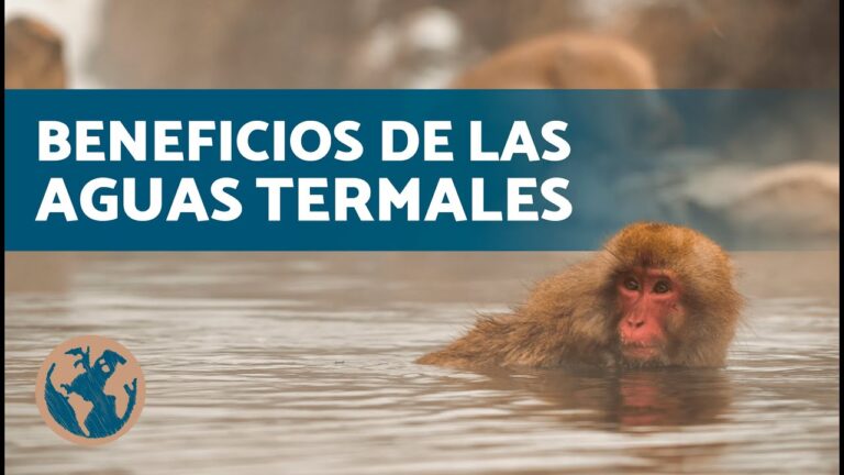 Descubre Cómo Se Generan Las Aguas Termales De Forma Natural Tratamos