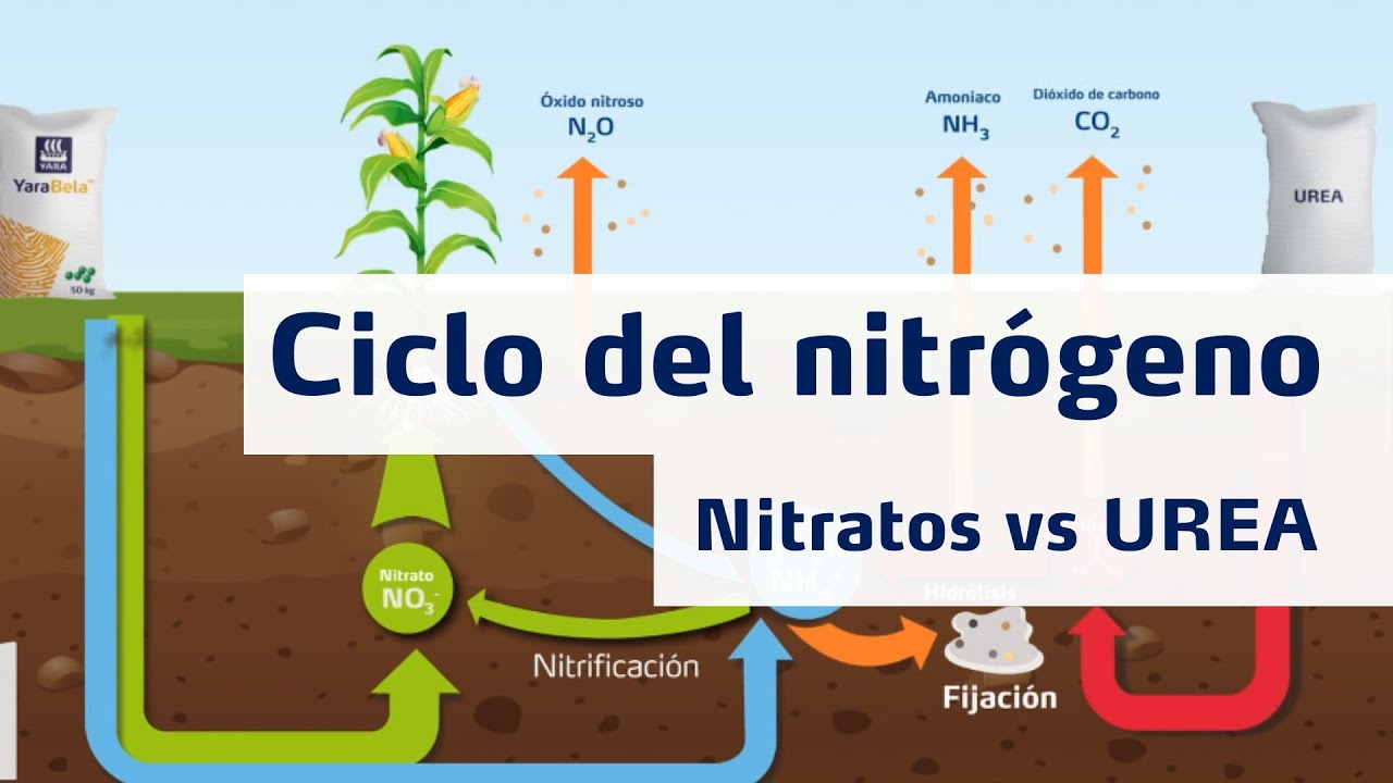 Nitratos en el agua: ¿Qué implica su presencia? - Tratamos el Agua