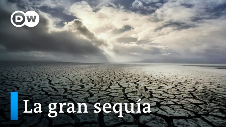 ¿Sabías cómo se dice "agua" en latín? Descúbrelo aquí - Tratamos el Agua