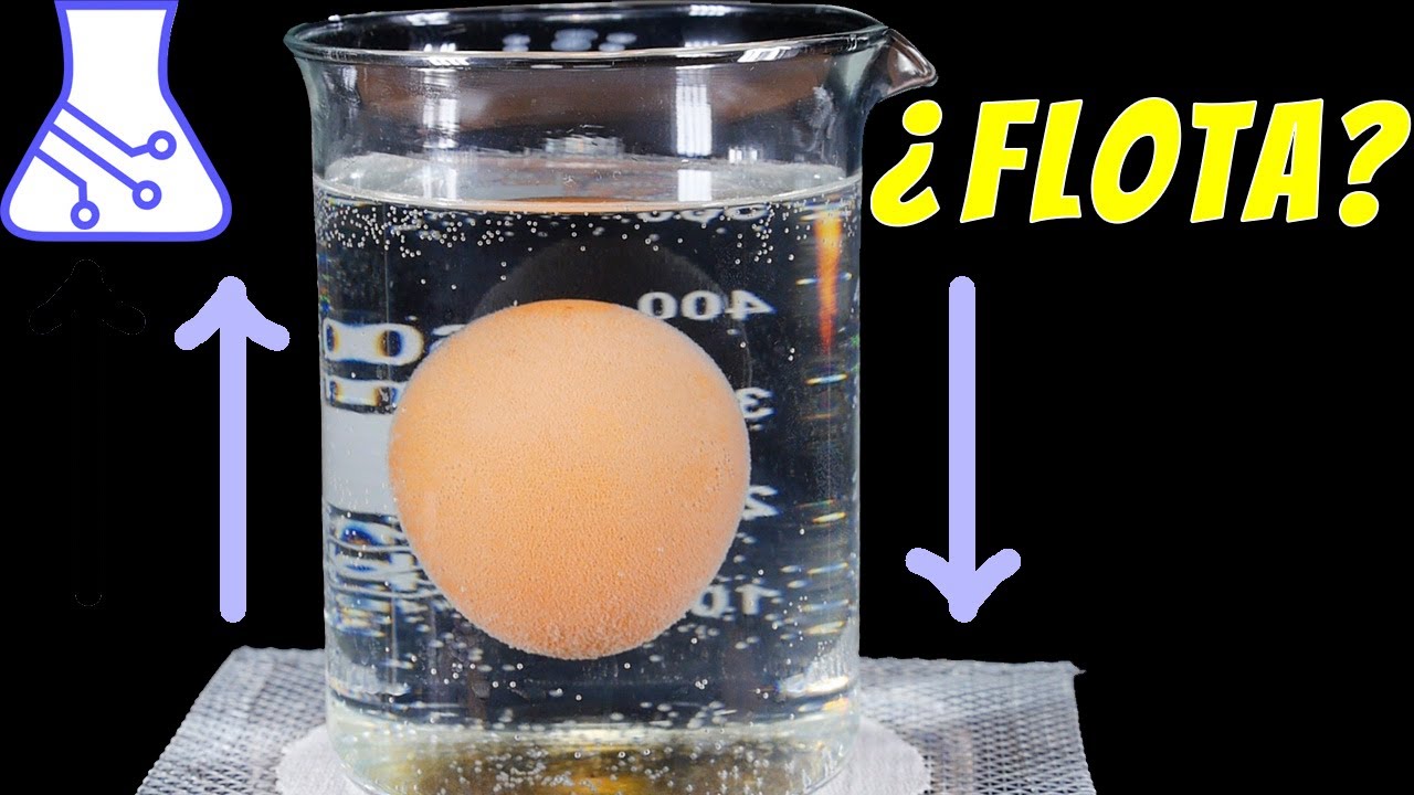 ¿Sabías por qué el huevo flota en el agua con sal? Te lo explicamos ...