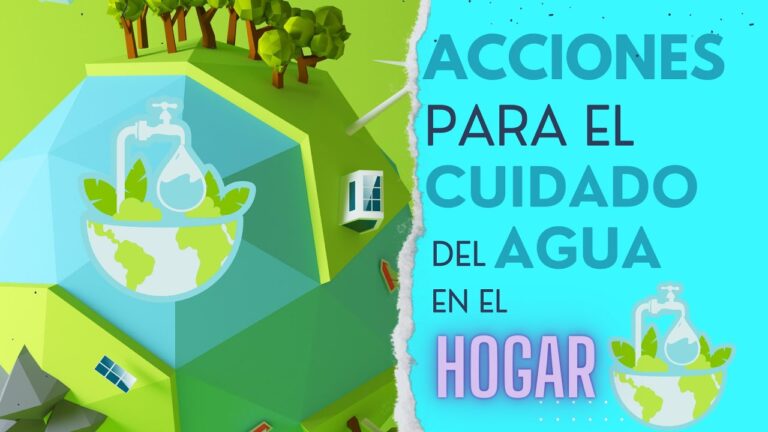 Cómo evitar desperdiciar y contaminar el agua: acciones a tomar ...