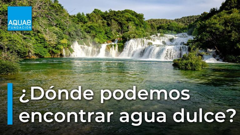 Descubre la mayor reserva de agua dulce en nuestro planeta - Tratamos ...