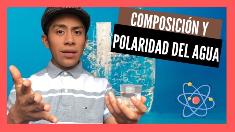 Entiende la polaridad del agua y su importancia en diversos procesos ...