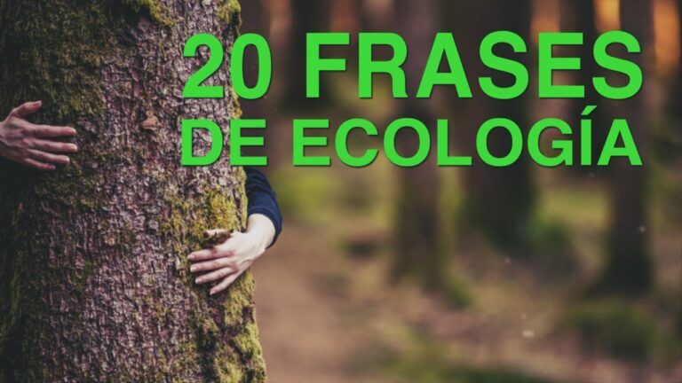 Frases ecológicas inspiradoras sobre el valor del agua - Tratamos el Agua