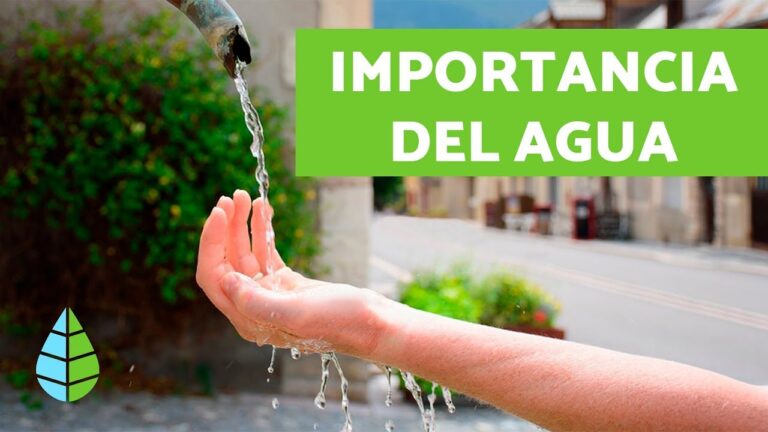 La importancia vital del agua y el aire - Tratamos el Agua