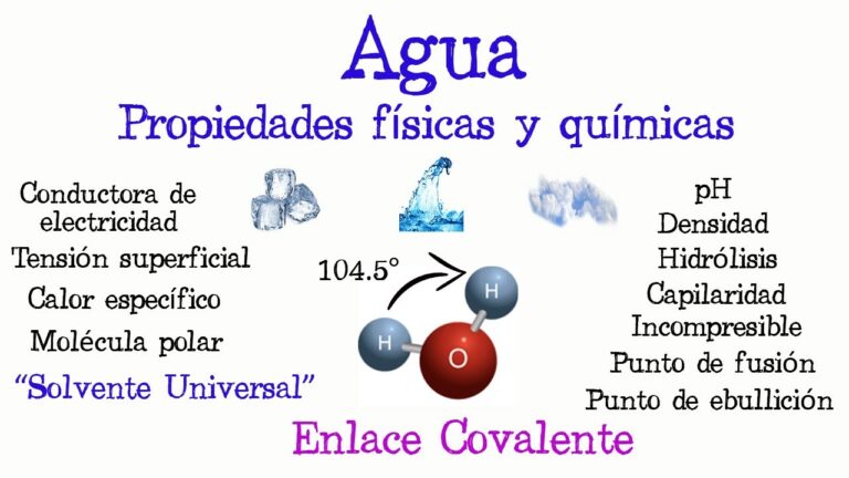 Molécula de agua: ¡Descubre sus propiedades únicas! - Tratamos el Agua